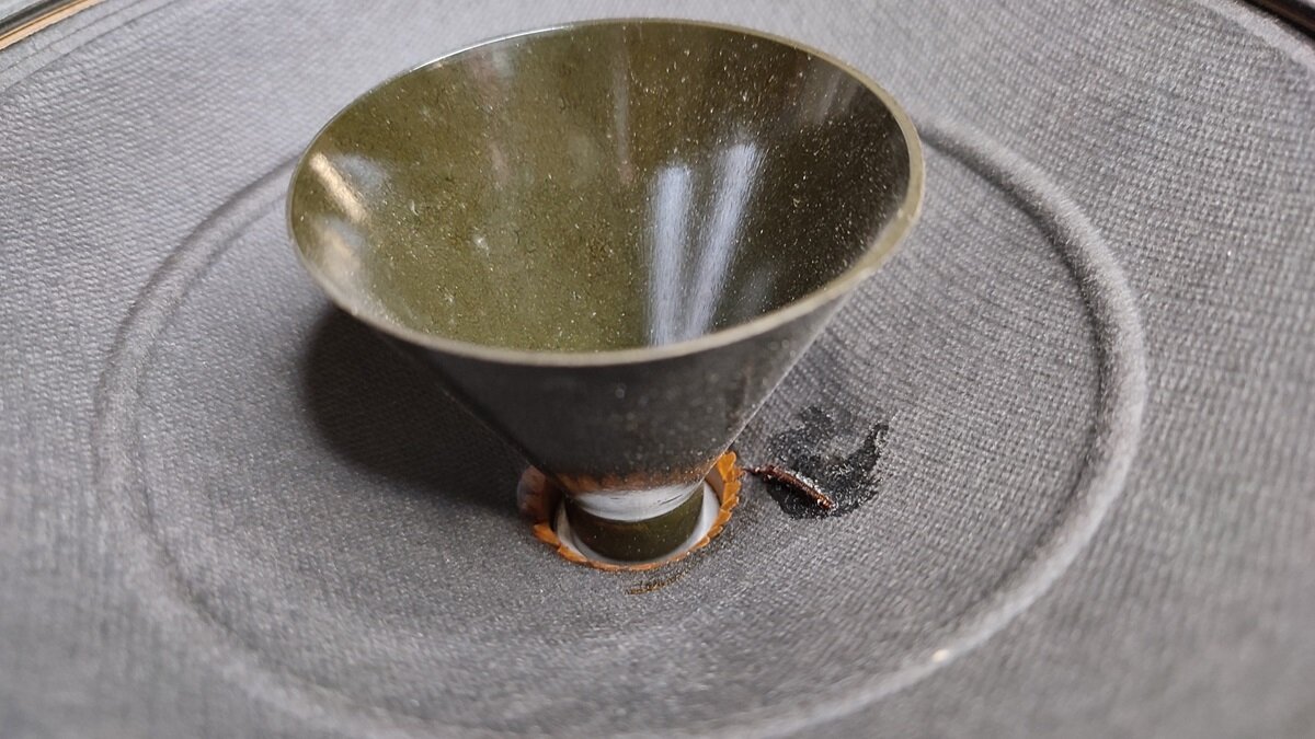 Cône fixe sur un haut-parleur Philips - Technique - Forum Retrotechnique